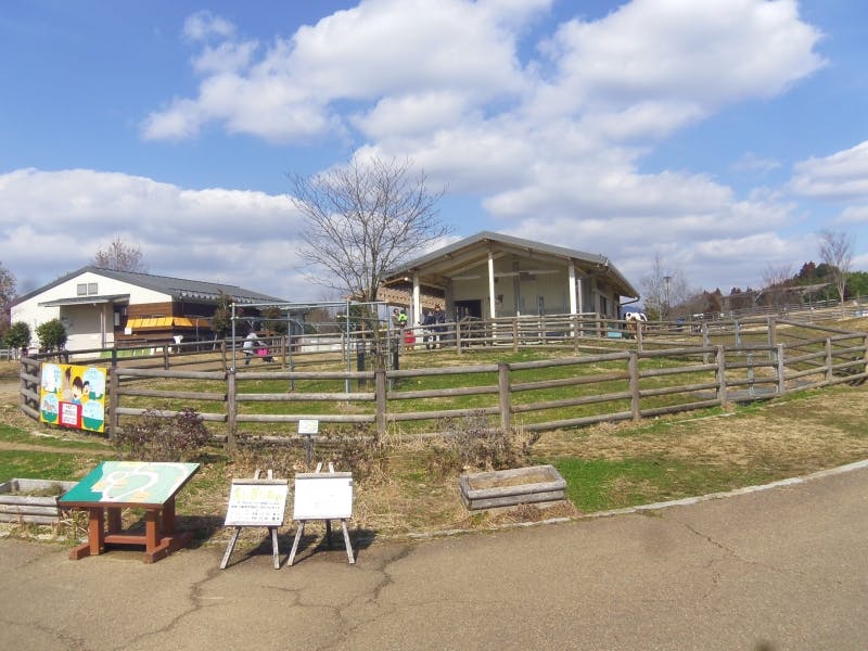 나라에서 인기 있는 놀이터 톱 10 순위 ｜Japan Travel News & Magazine