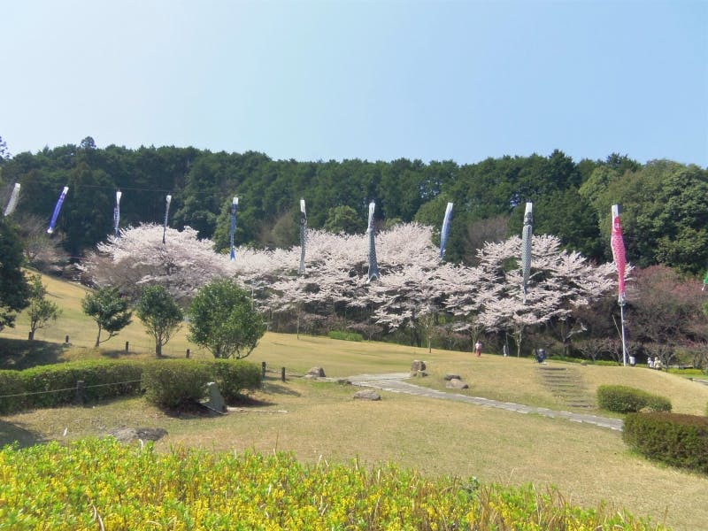 나라에서 인기 있는 놀이터 톱 10 순위 ｜Japan Travel News & Magazine